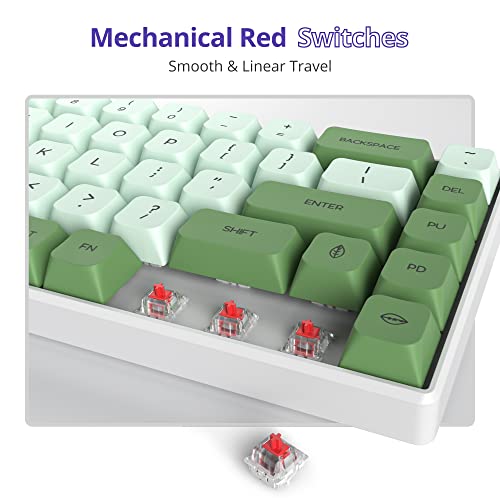 Snapklik.com : Owpkeenthy Wired 65% Percent Mechanical Gaming Keyboard ...