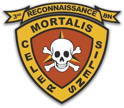 Amazon.com: Stickers Punch 3rd Recon Battalion United States Military ...