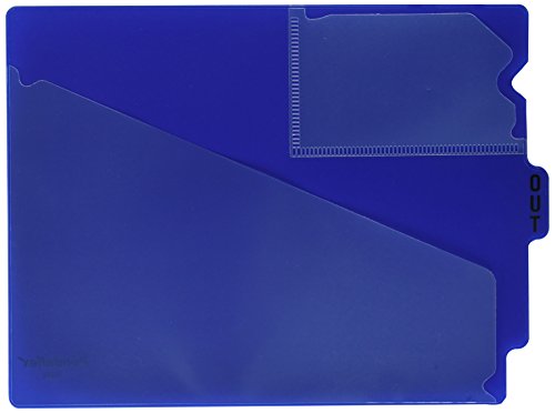 Amazon Best Sellers: Best File Guides