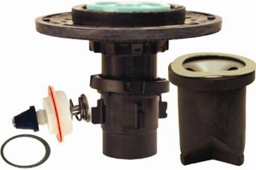 Sloan 3317005 Rebuild Kit, Black - Flush Valves - Amazon.com