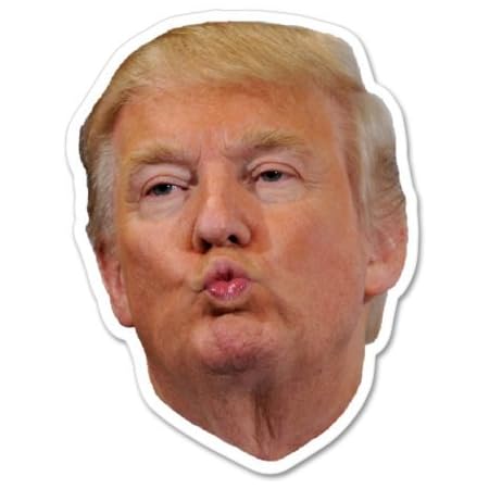 Amazon.com: Donald Trump Face Vinyl Sticker - Select Size : Automotive
