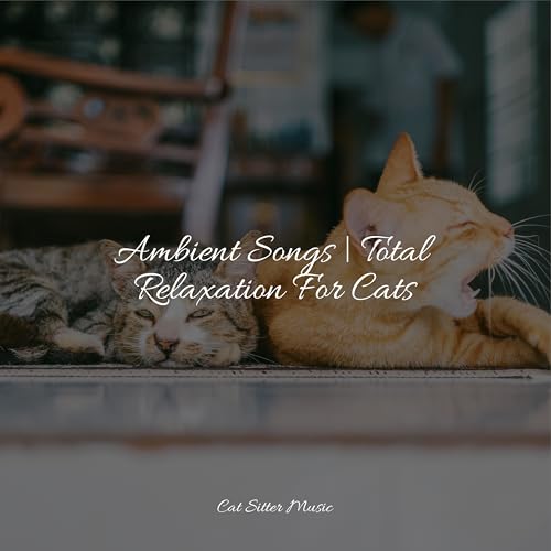 Ambient Songs | Total Relaxation For Cats von Music for Cats Project ...