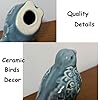Amazon.com: AWOEZ Small Animal Statues, Ceramic Bird Statues, Home ...