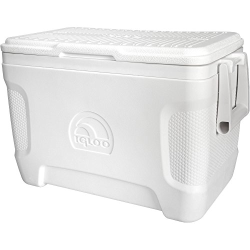 Igloo 49644 25 Quart Marine Contour Ice Chest (Pack of 2), White – Mini ...
