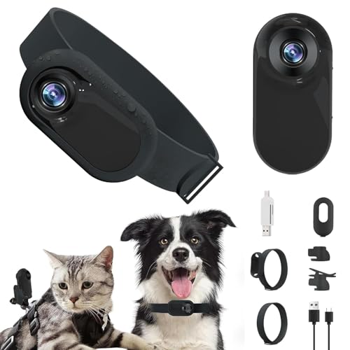 Meilleure caméra de surveillance pour animaux chat et chien