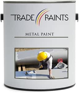 Direct to Metal Paint (2.5 Litre, Poppy Red BS04E53) : Amazon.co.uk ...