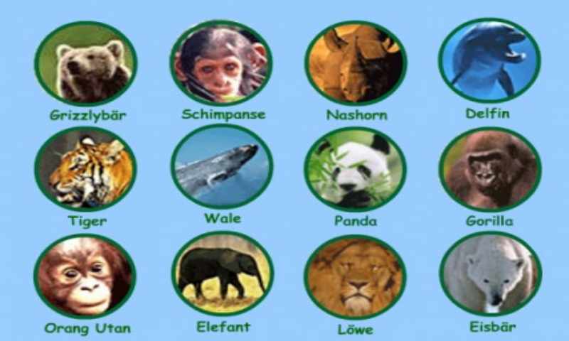 Soundboard Animals - App on Amazon Appstore