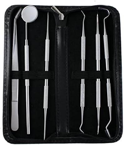Amazon.com: G.CATACC Dental Tools, Dental Pick Teeth Cleaning Tools ...