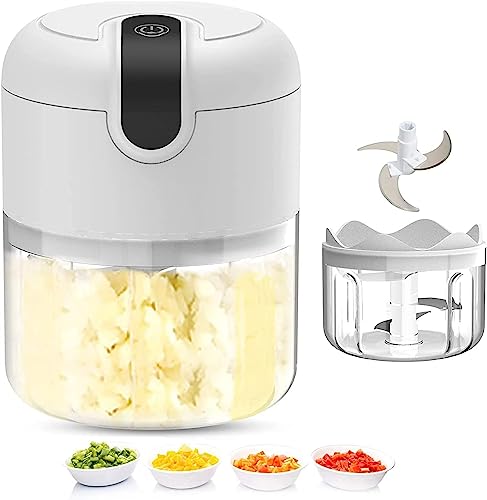 amazon.ae Best Sellers: The best items in Mini Processors based on ...