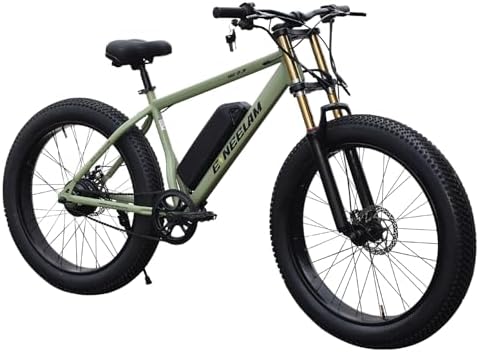 Neelam Fat Bike 4.0 Unisex Electric Bicycle 26T | 36V 350W Battery | 10 ...