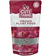 Amazon.com : Succulent, Cacti & Aloe Slow Release Fertilizer Pellets ...