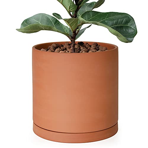 Find The Best 12 Inch Terracotta Pots Reviews & Comparison - Katynel