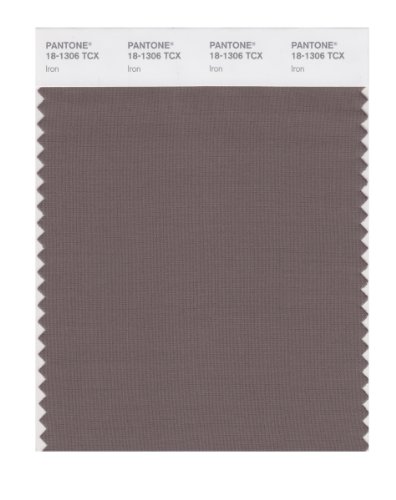 PANTONE Smart 18-1306X Color Swatch Card, Iron : Amazon.in: Home ...