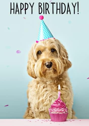Cockapoo In A Hat Dog Birthday Card Greeting Card - Cute - Pet - Dog ...