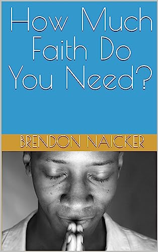 Amazon.com: How Much Faith Do You Need? eBook : Naicker, Brendon , Chen ...