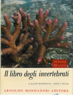 Amazon.com: Il libro degli invertebrati.: BUCHSBAUM Ralph - MILNE Lorus ...