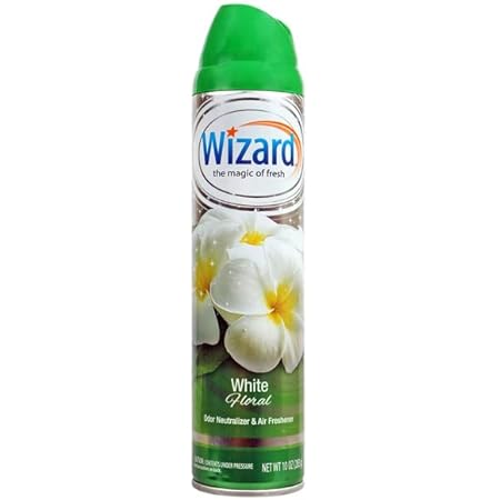 Amazon.com: Wizard The Magic of Fresh Air Freshener 10 oz Morning Mist ...