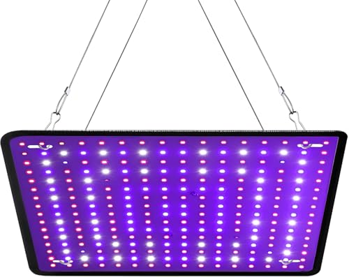 Best Light Cycles and Grow Lights for Flowering Stage Plants – Reno ...