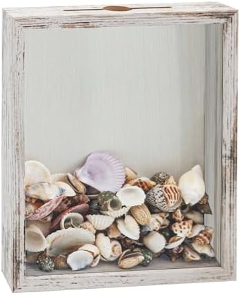 Amazon.com: CroBlissful Wooden Seashell Display Case with Acrylic ...