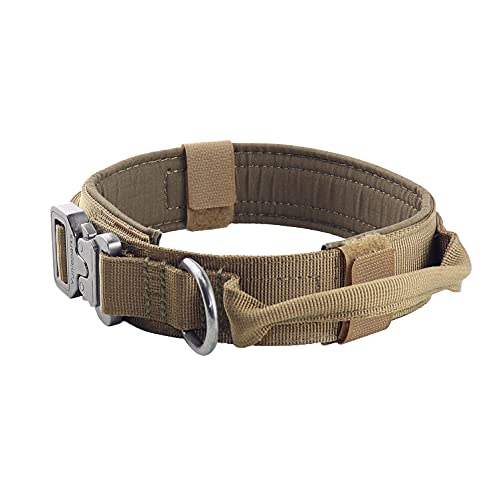 10 Most Comfortable Dog Collars [2022 Reviews]