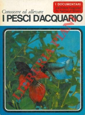 Amazon.com: Conoscere ed allevare i pesci d'acquario.: (LODI Elso) -: Books