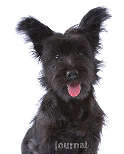 Journal: Skye Terrier: Publications, Dreamflight: 9781973314523: Amazon ...