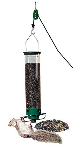 10 Best Yankee Flipper Bird Feeders: Review & Buying Guide for Bird ...