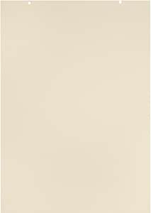 School Smart Jumbo Manila Tag Ruled Chart Paper, 36 x 24 Inches, 36 ...