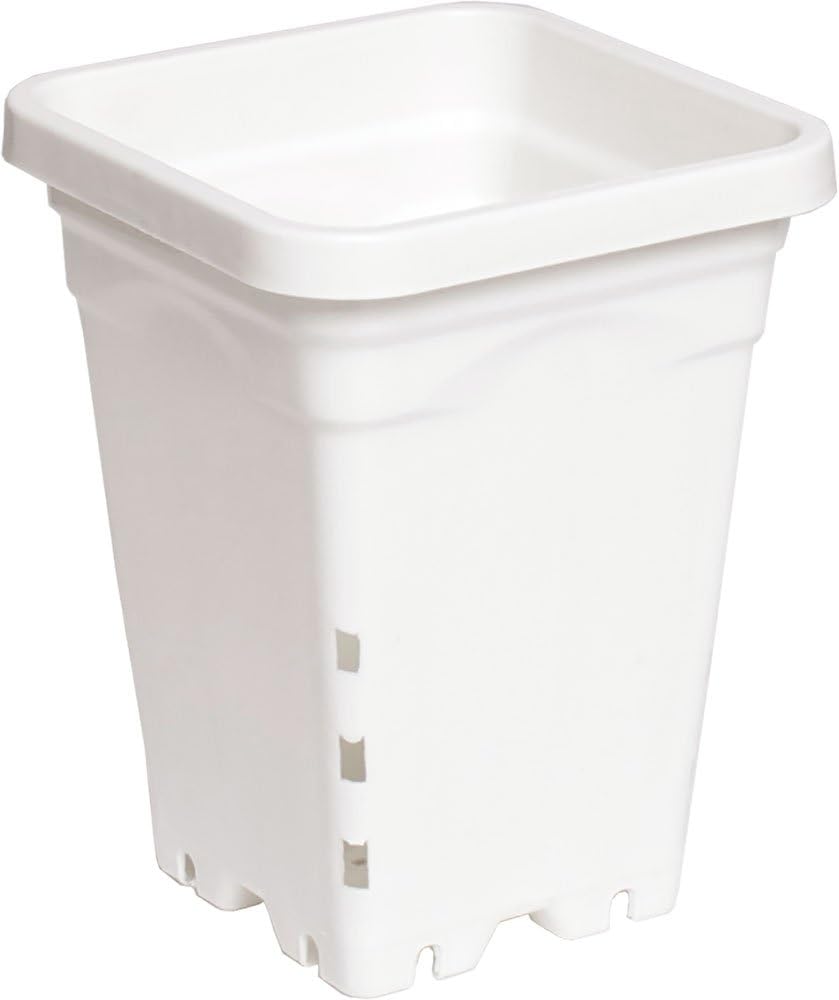 Amazon.com: 5" x 5" x 7" Square White Pots (10 Pots) : Patio, Lawn & Garden
