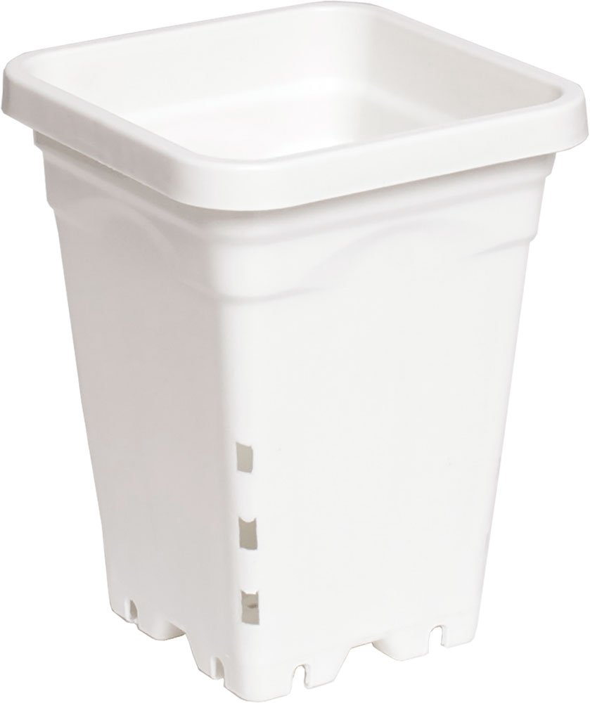 Snapklik.com : Active Aqua HG5X5SW 5x5 Square White, 7 Tall
