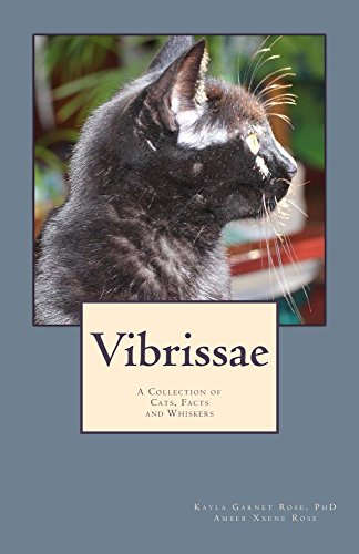 Vibrissae: A Collection of Cats, Facts and Whiskers eBook : Rose, Kayla ...