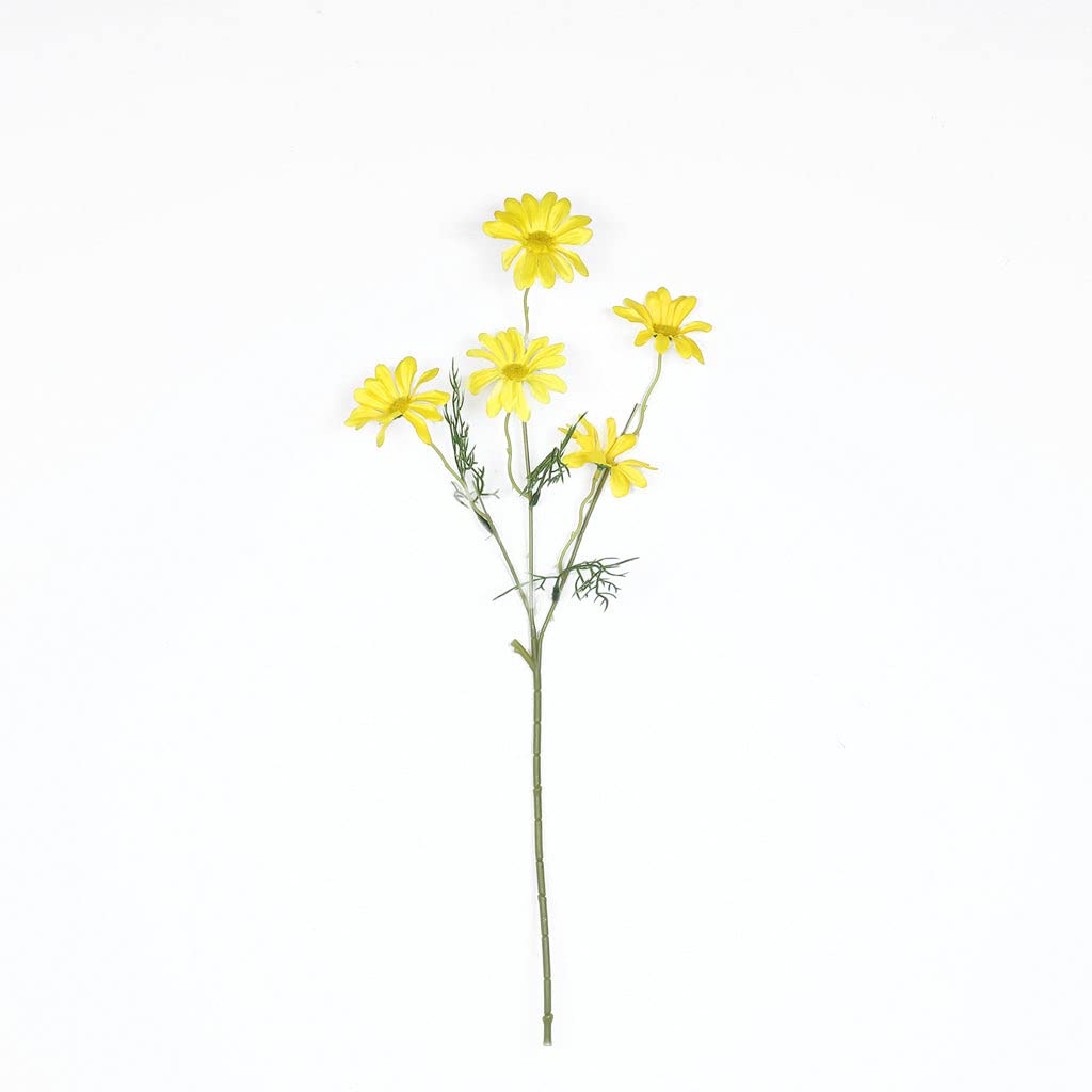 Single Yellow Daisy