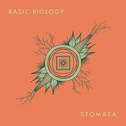 Stomata LP de Basic Biology en Amazon Music Unlimited