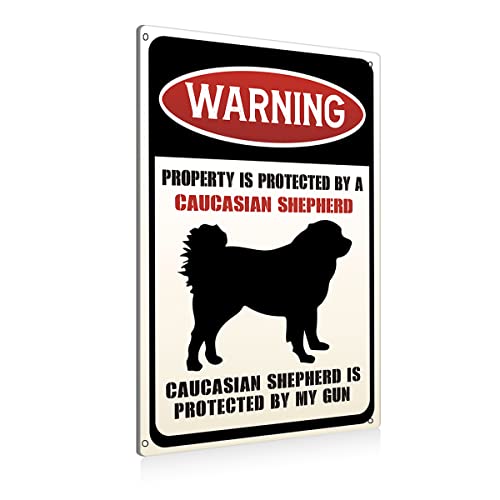 Sarplaninac vs Caucasian Shepherd - Detailed Explanation!
