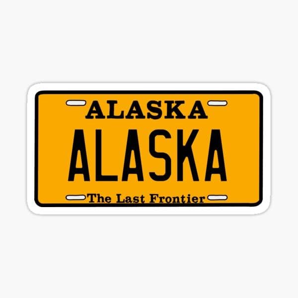 Amazon.com: USA All State License Plate Sticker |Vinyl| Decal Wall ...