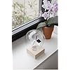 Amazon.com: Kikkerland Solar Radiometer : Home & Kitchen