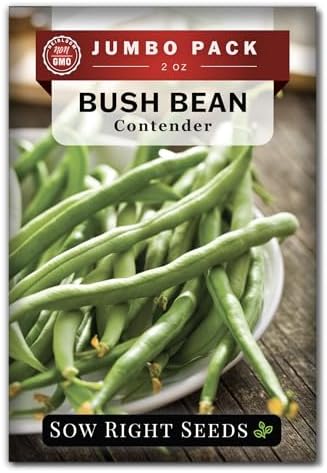 Amazon.com : Sow Right Seeds - Bulk Contender Bush Green Bean Seeds for ...