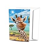 ・ブランド:Tree-Free Greetings・製造元:Tree-Free Greetings・モデル:FS56906・製造元/メーカー部品番号:FS56906・ボックス入り文房具ノートカード12枚(4x6インチ)、同色の封筒付き。内側...
