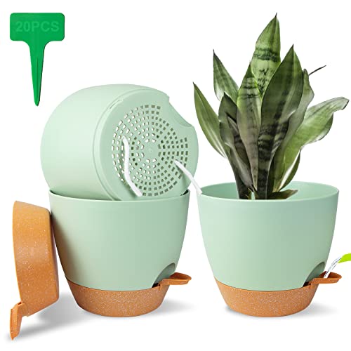 Sheffield Made Plants's Amazon page