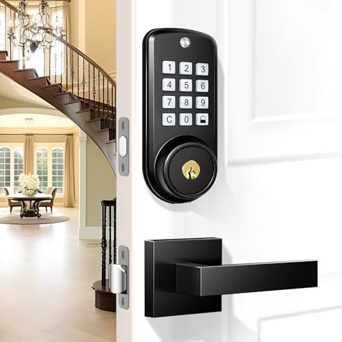 DINSTECH Keyless Entry Door Lock with 2 Lever Handles, Electronic ...