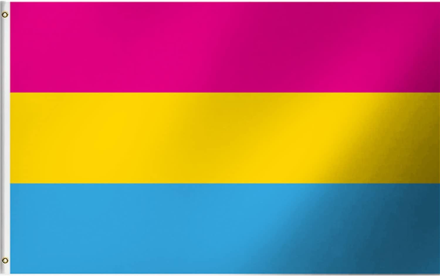 Amazon.com : 3x5 FT Pan Pride Polyester Flag Pansexual Flags Bright ...