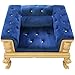 Amazon.com: Apex Casket Company Gothic Inspired Royal Blue Velvet ...