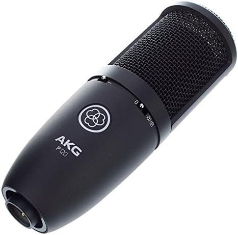 AKG Pro Audio Perception 220 Professional Studio Microphone : Amazon.ca ...