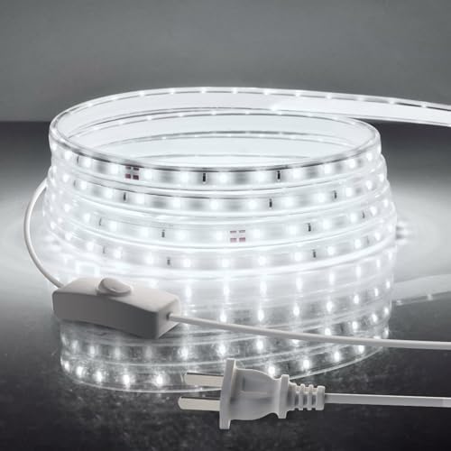 Amazon.com: Super Bright Outdoor LED Strip Lights, AC 110V 6500K ...