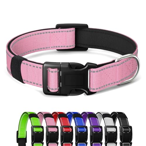 Quick Release Dog Collar – The 15 best products compared - Wild Explained