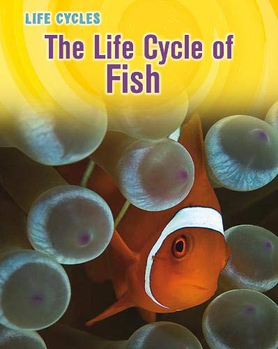 Buy The Life Cycle of Fish (Life Cycles) Book Online at Low Prices in ...