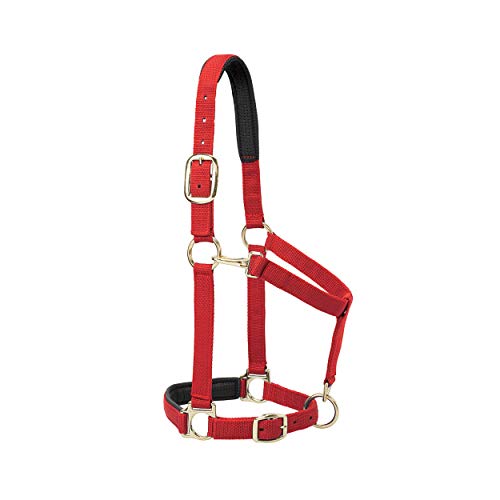 Ride in Style: Top 10 Red Horse Halters Reviewed and Recommended ...