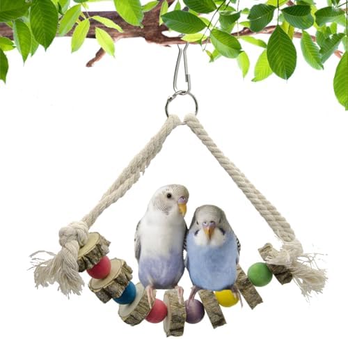 Amazon.com : Bird Parakeet Toys,Swing Hanging Standing Toy Hammock ...