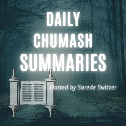 Daily Chumash Summaries : Sarede Rachel Switzer: Amazon.in: Audible ...