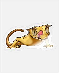 Amazon.com - Crested Gecko Sticker Sticker on Sticker - Sticker Graphic ...